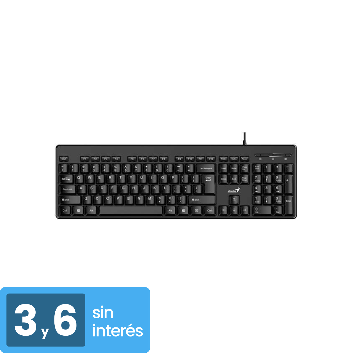 TECLADO GENIUS KB 116 USB NEGRO | Computienda